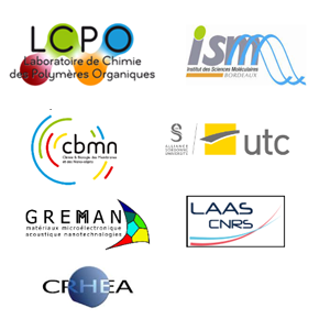 Organics electronics research group - IMS Bordeaux Laboratory