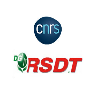 Application of non-integer derivation in automatic - IMS Bordeaux