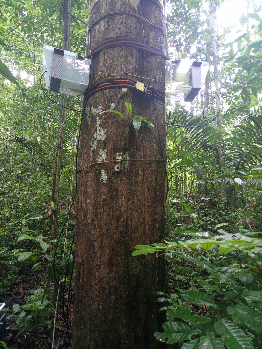 Wireless Zero-Power Sensors - Waves research group - IMS Bordeaux