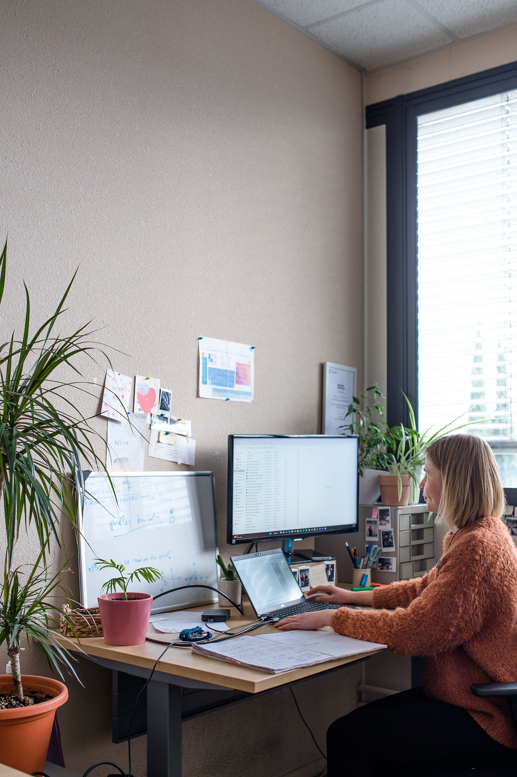 Organics electronics research group - IMS Bordeaux Laboratory