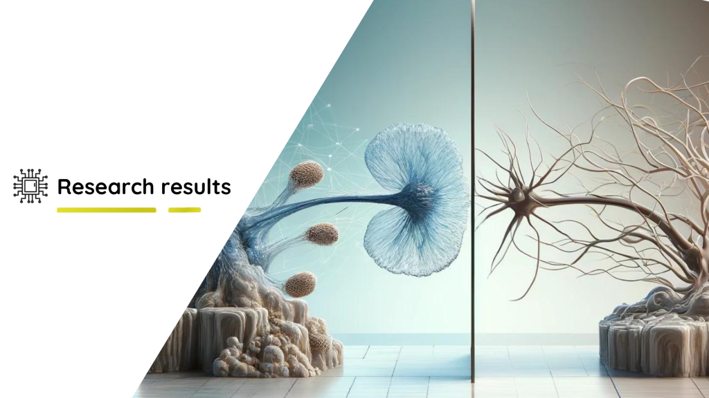 Neuroscience at IMS: A new study in Nature communications demonstrates ...